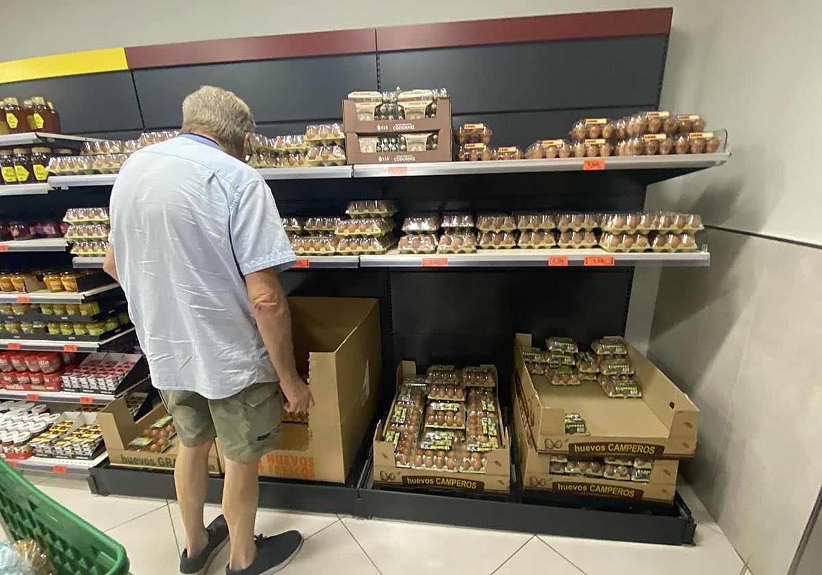 نيك امرأة عربية